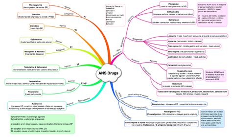Mind Map Pharmacology Nursing Pharmacology