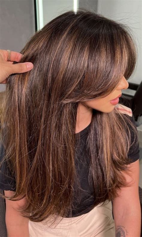 Cappuccino Brown Hair With Highlights Cappuccino Hair Color With