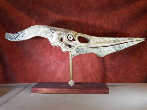 Pteranodon Skull