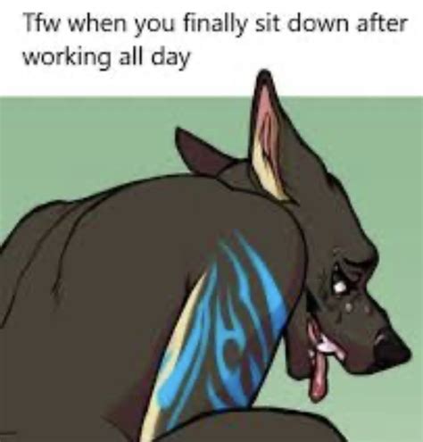 Posting A Cropped Yiff Meme Every Day Until Nnn Is Over Day 29 Rfurrymemes