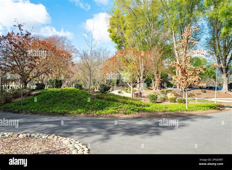 On The First Day Of Spring In The San Francisco Bay Area Danville