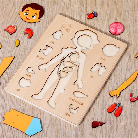 Montessori Wooden Jigsaw Puzzles Anatomy Game Human Body Puzzles