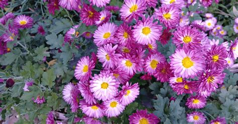 Php84 Update Ubuntu 2404｜blue062022