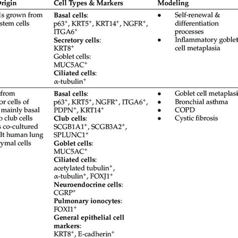 Origin And Composition Of Different Lung Organoid Types With Exemplary