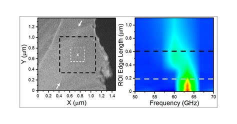 Influence Of Discrete Defects On Observed Acousticphonon Dynamics In Layered Materials Probed
