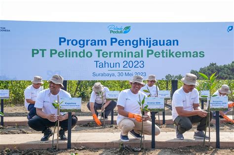 Pelindo Petikemas Hijaukan Area Pelabuhan Okezone News