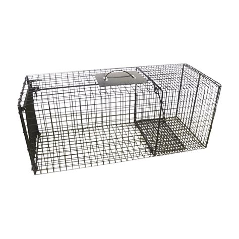 Bobcat Cage Trap Minnesota Trapline Products