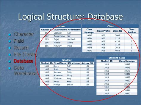 Ppt Understanding Databases And Data Warehouses Bi Essentials