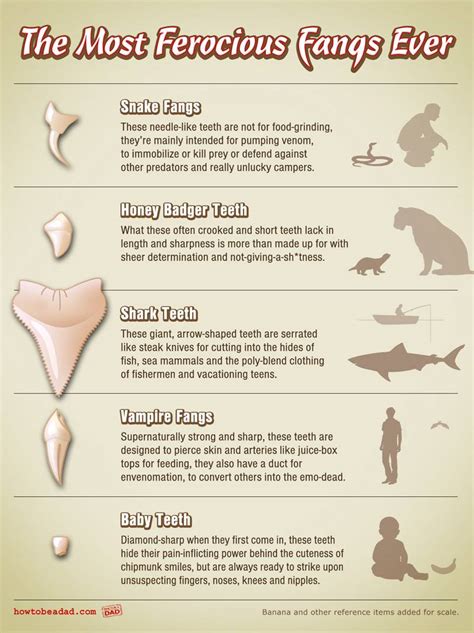 Le Armi Improprie Dei Bambini Conoscerle Per Evitarle Foto