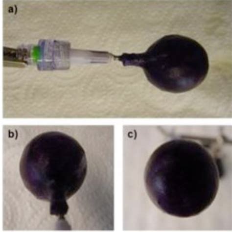 Seeding Efficiency Mtt Staining Of Viable Cells Allowed Assessment Of