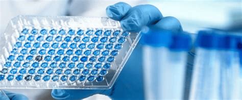 Technology Digest Defining Specificity Within The Elispot Assay Bioanalysis Zone