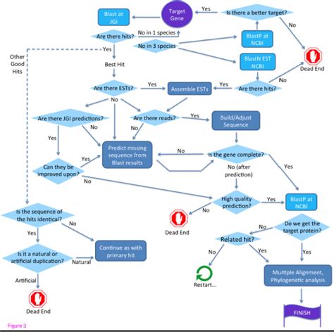 Improving Transcriptome Construction In Non Model Organisms