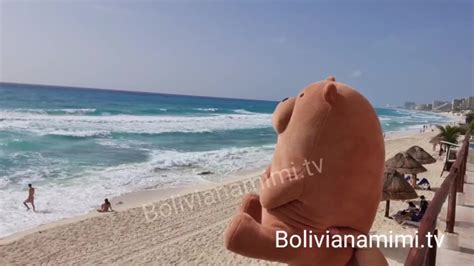 Mostrando Mi Conchita En El Restaurante En Cancun Quien Queria Estar