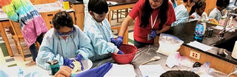 Summer Header Illinois Mathematics And Science Academy