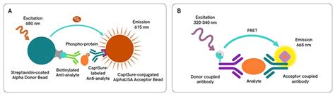 Cell And Gene Therapy Research Reagents Revvity
