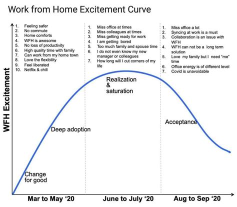 Good Analysis Sehnaz Irani