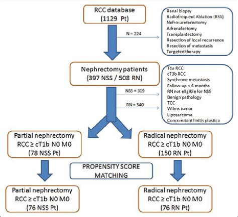 Flowchart Of Patient Selection Rcc Renal Cell Cancer Nss Nehpron