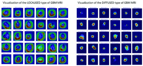 Visualization Of The Neural Network Classification Result Download Scientific Diagram