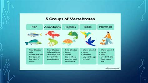 Whittakers 5 Kingdom Classificationpptx Geography Science