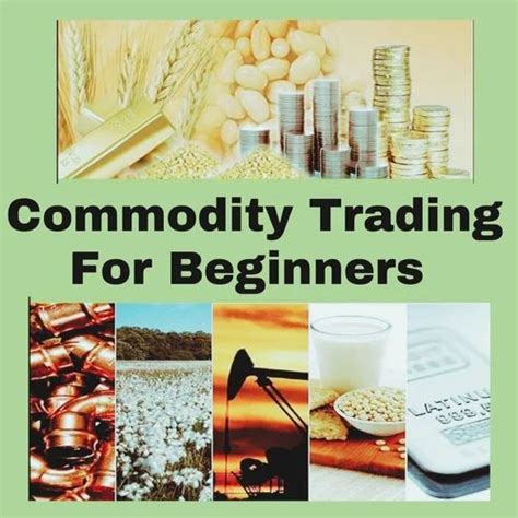 Commodity Trading For Beginners At ₹ 5999month In Indore Id