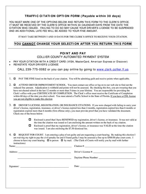 Traffic Citation Option Form Blank Fillable Template Fill Out