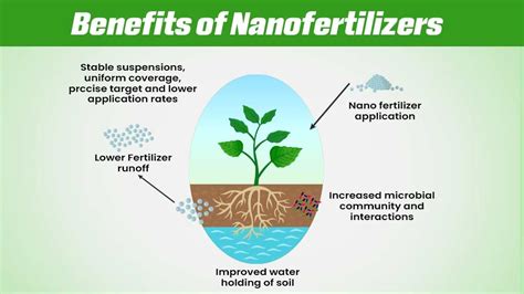 Nanofertilizers In India Types Needs And Benefits