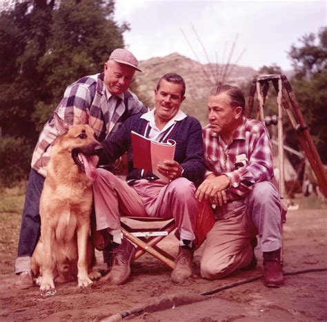 Celebrate The 70th Anniversary The Adventures Of Rin Tin Tin Photos