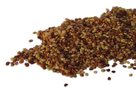 Semillas De Desmodium Spp Insumos And Semillas