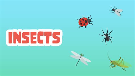 Year 3 Teaching Resources A Comprehensive Guide For Teachers