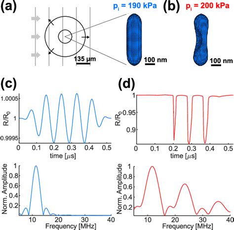 Figure 1 From Nonlinear Ultrasound Imaging Of Nanoscale Acoustic