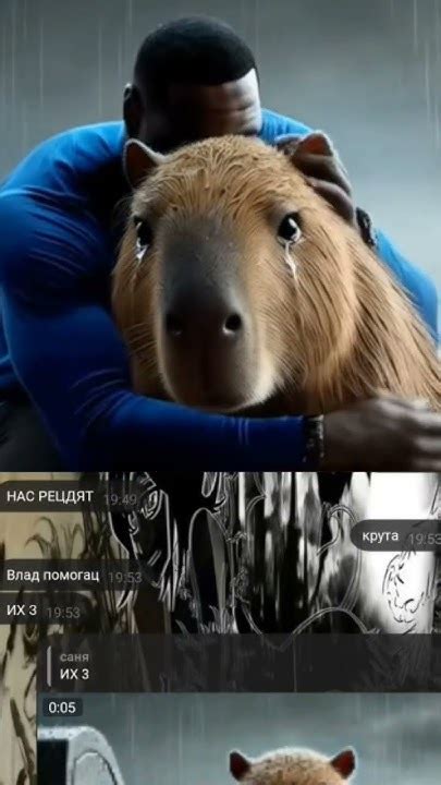 rust раст держидверь чизи youtube