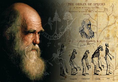 Charles Darwin El Padre De La Teoría De La Evolución