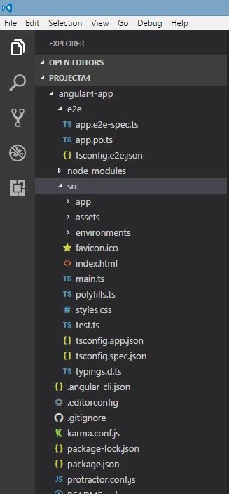 Angular 4 Project Setup