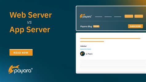 Web Server Vs Application Server Whats The Difference Payara Services Ltd