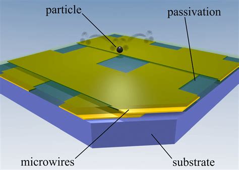 Color Online Schematic Of The Crossbar Array Chip The Microwires Are