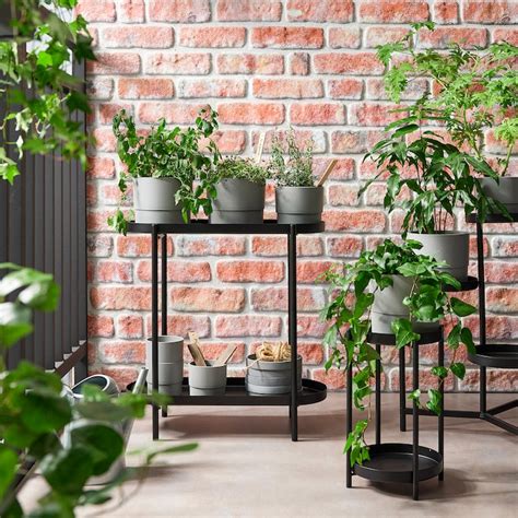 Olivblad Plantenstandaard Binnen Buiten Zwart 56 Cm Ikea België