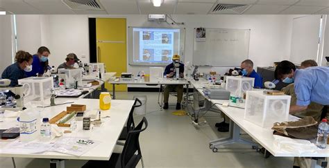 Certificate Iii In Beekeeping National Biosecurity Training Hub