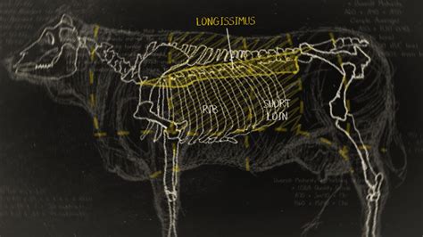 Steak Cuts Explained In Two Minutes Eater