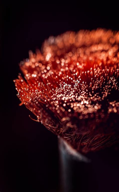 Electrical Equipment Electricity Cable Background And Texture Stock