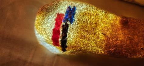 Repost Of My Bulls Original Cumsock Rcumstained