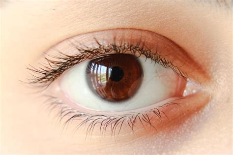 Más De 40 000 Imágenes Gratis De Eye Ind Y London Eye Pixabay