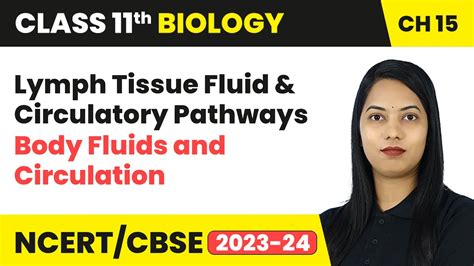 Lymph Tissue Fluid And Circulatory Pathways Body Fluids And Circulation