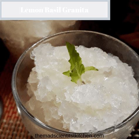 Lemon Basil Granita Msk