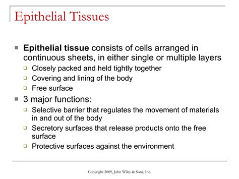 The Tissue Level Of Organization Ppt