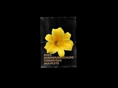 Plets Artwork Brochure Presskit On Behance