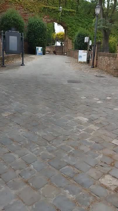 raincode labs on linkedin rushing to pliss in bertinoro