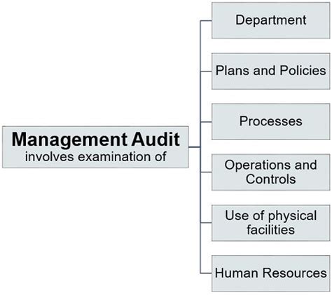 Difference Between Cost Audit And Management Audit With Objectives And Comparison Chart Key