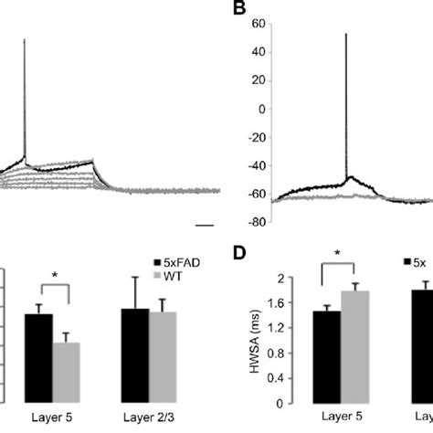 Action Potential Firing Threshold Was Increased In Layer 5 But Not