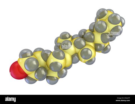 Cholesterol Molecular Model Cut Out Stock Images Pictures Alamy
