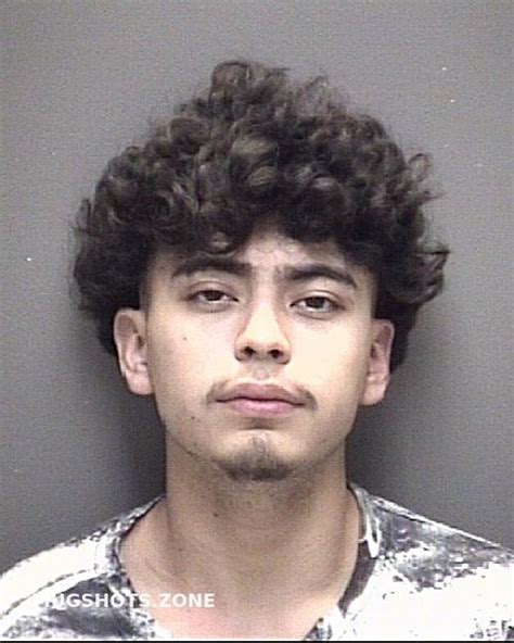 Navarro David Antonio 03 08 2024 Galveston County Mugshots Zone